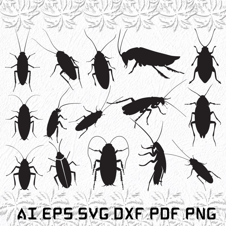Cockroach Svg, Cockroachs Svg, Bug Svg, Animal, Insact, SVG, Ai, Pdf ...