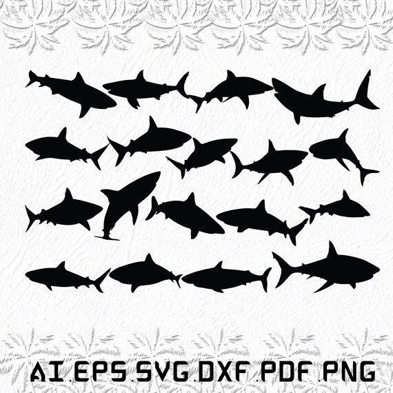 Shark Svg Sharks Svg Animal Svg Animals Fish SVG Ai - Etsy