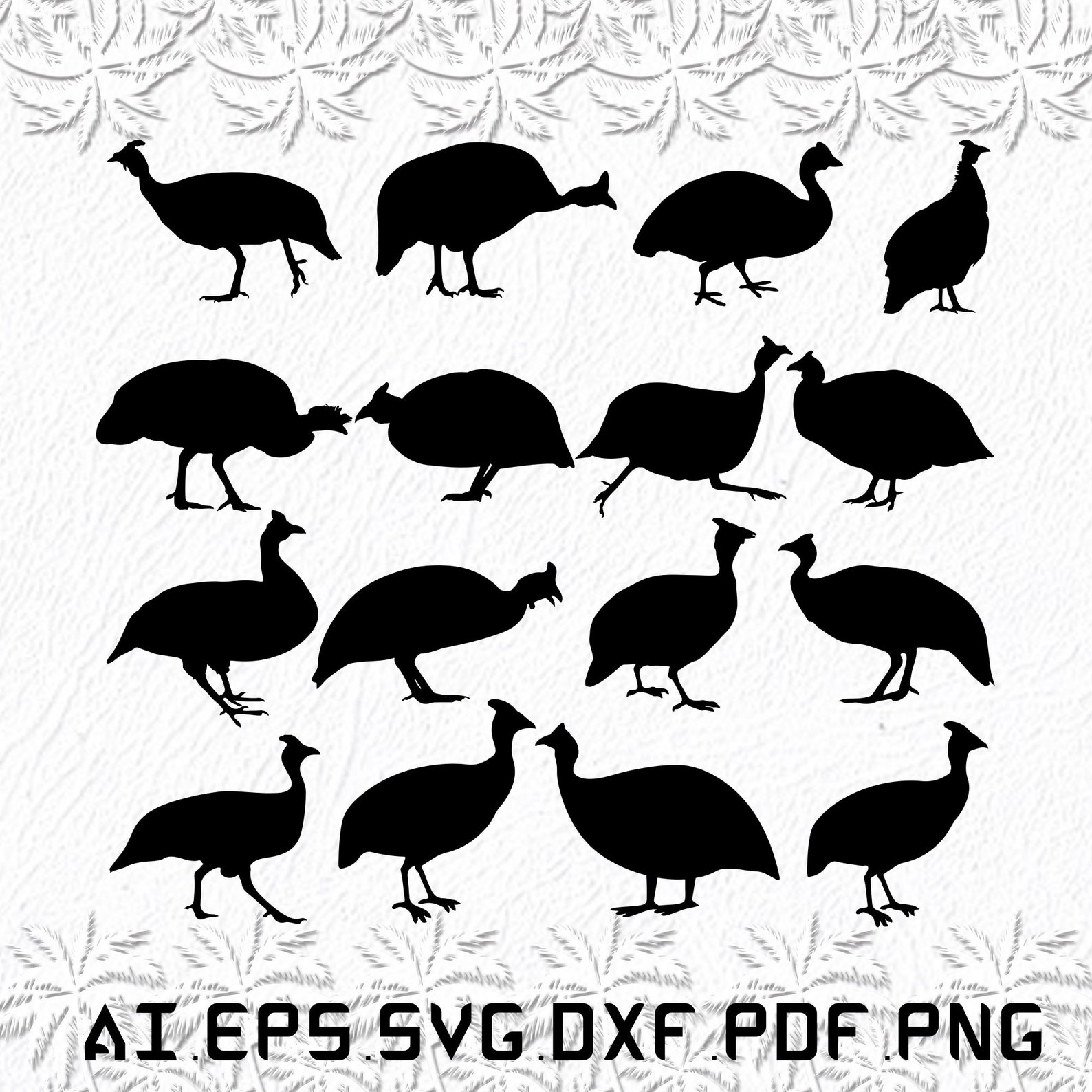 Guinea Fowl Svg Guinea Svg Fowl Svg Bird Birds SVG Ai - Etsy Australia