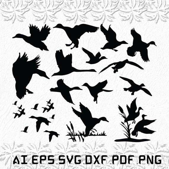 Swan Svg Duck Svg Birds Svg Animals Water SVG Ai Pdf - Etsy