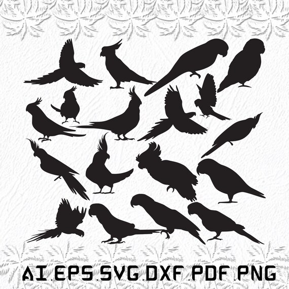 Parrot Bird Svg Parrot Svg Bird Svg Animal Birds SVG Ai | Etsy