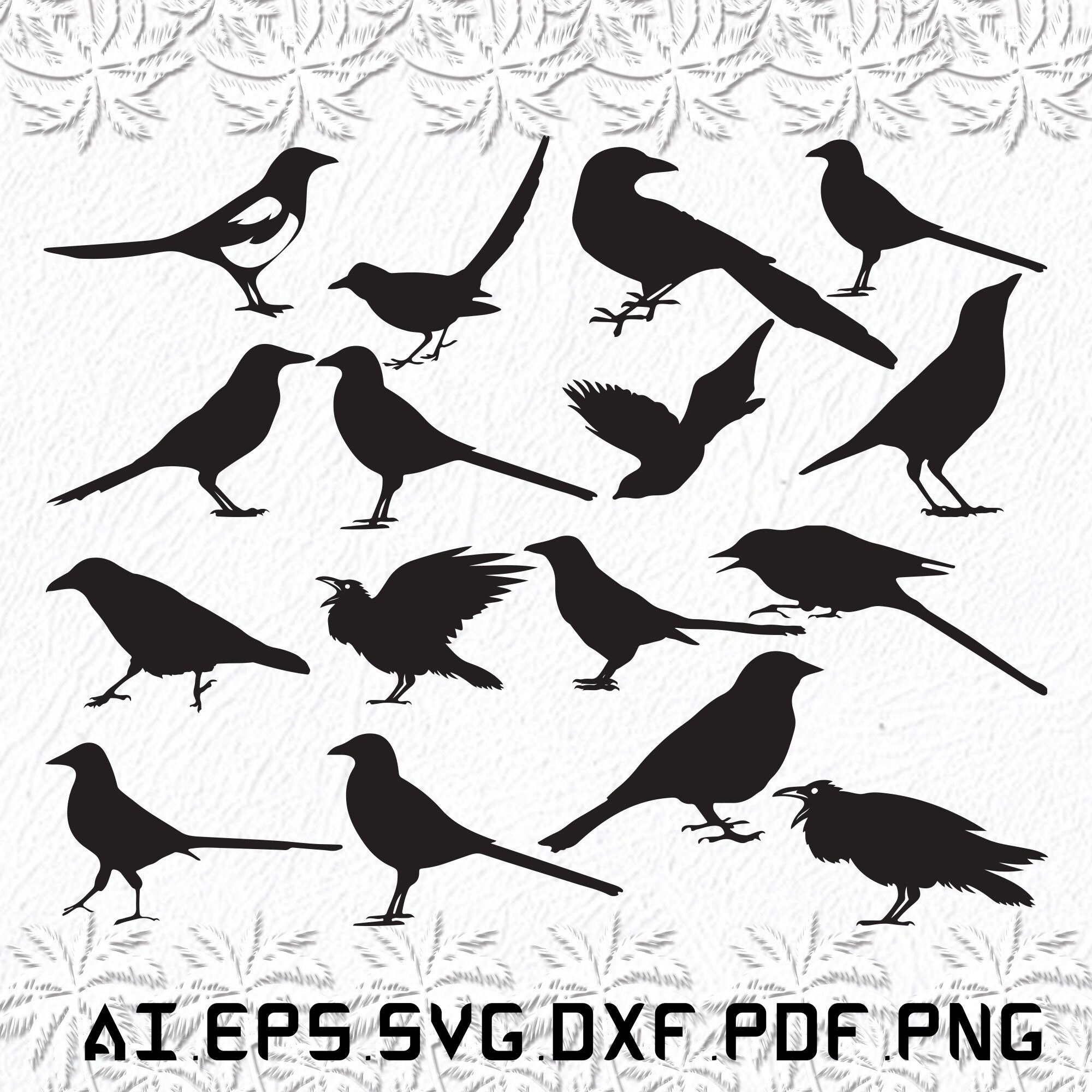 Magpie Bird Svg Magpie Svg Bird Svg Birds Nature SVG Ai - Etsy UK