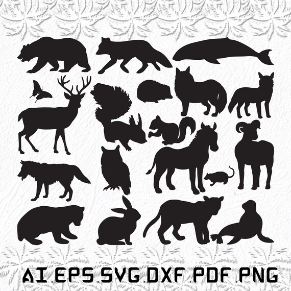 Mammals Svg Mammal Svg Animal Svg Pet Animals SVG Ai - Etsy