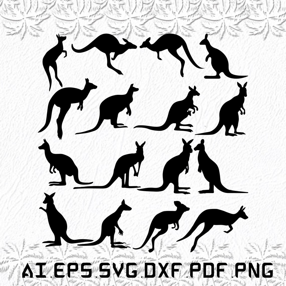 Kangaroo Svg Kangaroos Svg Animals Svg Australia Animal - Etsy