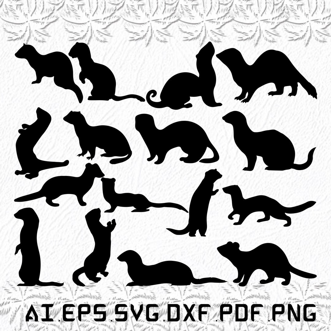 Ferret Svg, Ferrets Svg, Ferret Lover Svg, Animal, Ferret Mom, SVG, Ai ...