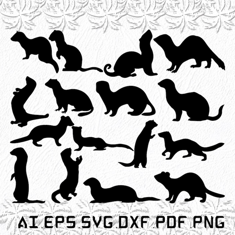 Ferret Svg Ferrets Svg Ferret Lover Svg Animal Ferret Mom - Etsy