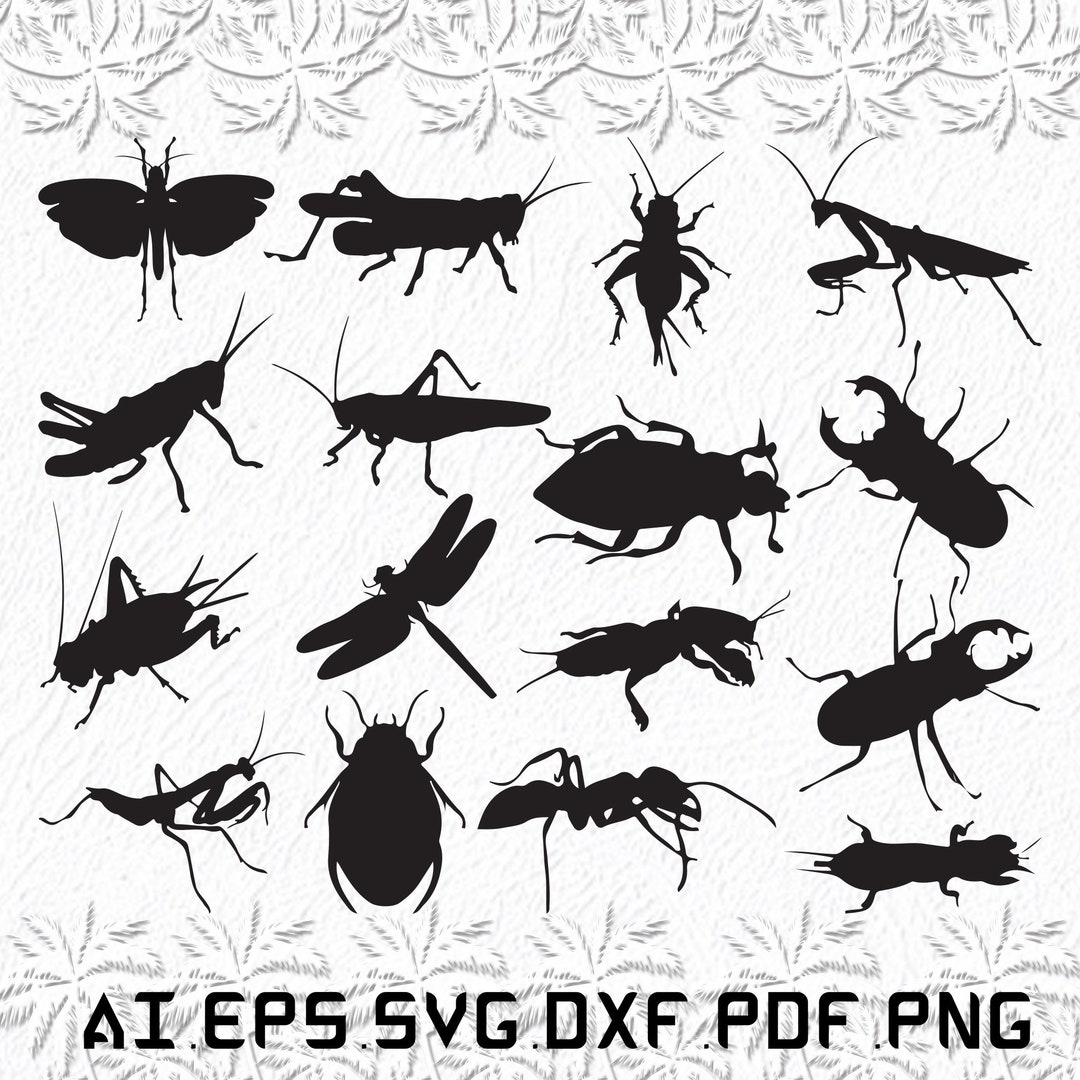 Grasshopper Svg, Grasshoppers Svg, Grass Svg, Hopper, Insect, SVG, Ai ...