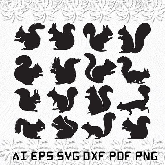 Squirrel Svg Squirrels Svg Animal Svg Animals Nature SVG - Etsy