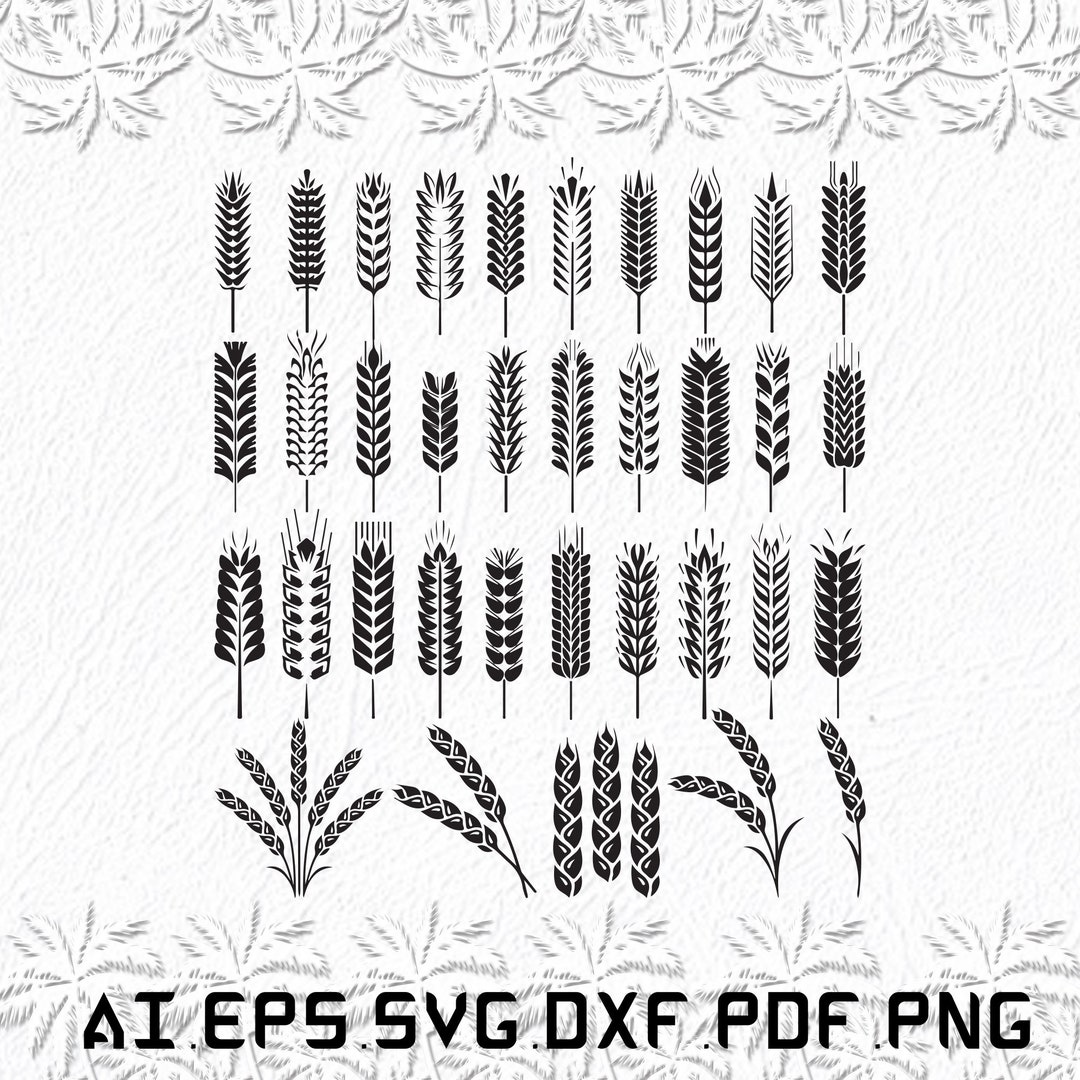 Corn Stalk Svg, Corn Stalks Svg, Corn Svg, Popcorn, Popcorns, SVG, Ai ...