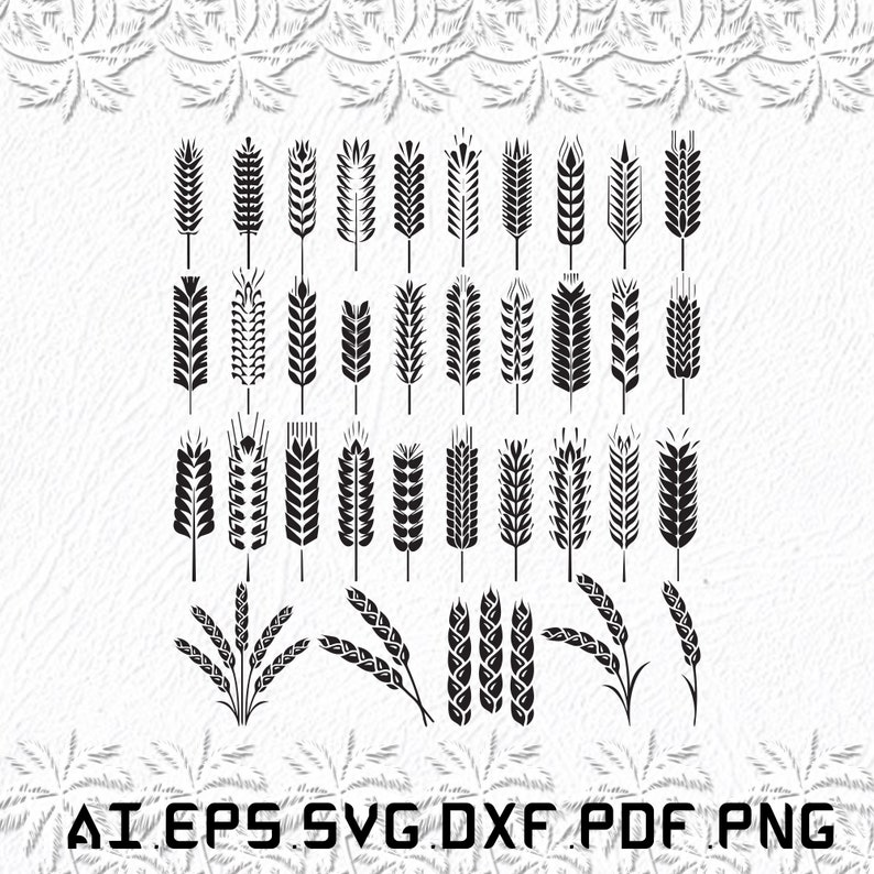 Corn Stalk Svg Corn Stalks Svg Corn Svg Popcorn Popcorns - Etsy