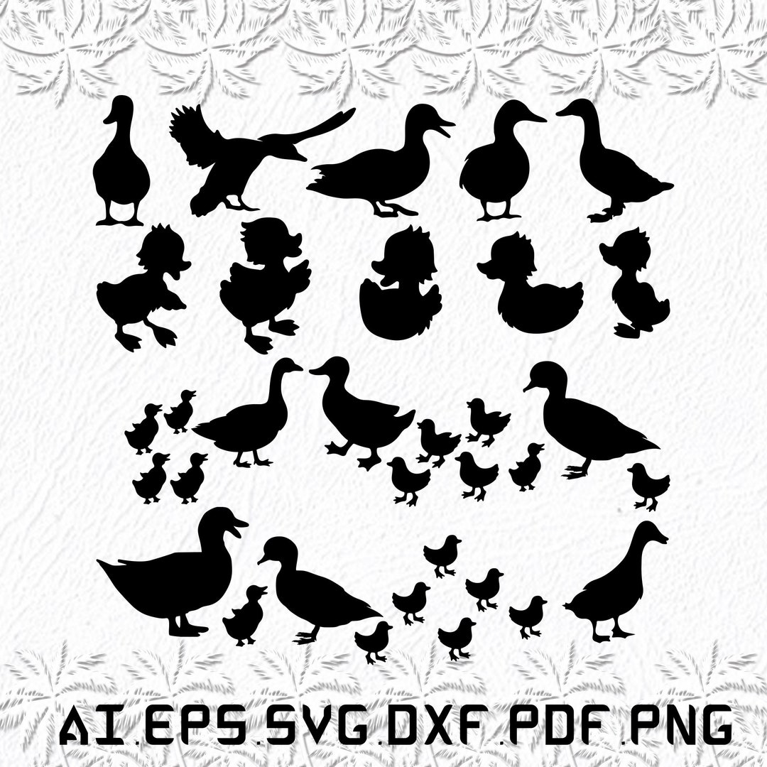 Duck Svg, Ducks Svg, Animal Svg, Animals, Bird, SVG, Ai, Pdf, Eps, Svg ...