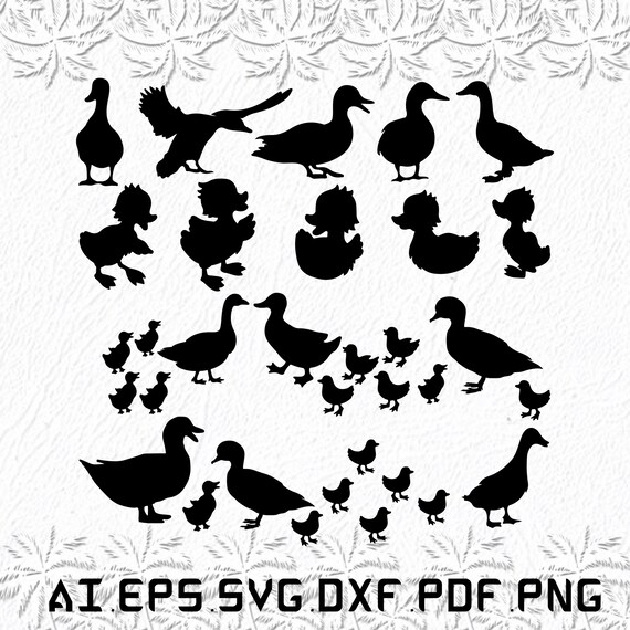 Eend svg Eenden svg Dierlijke svg Dieren Vogel SVG ai - Etsy Nederland
