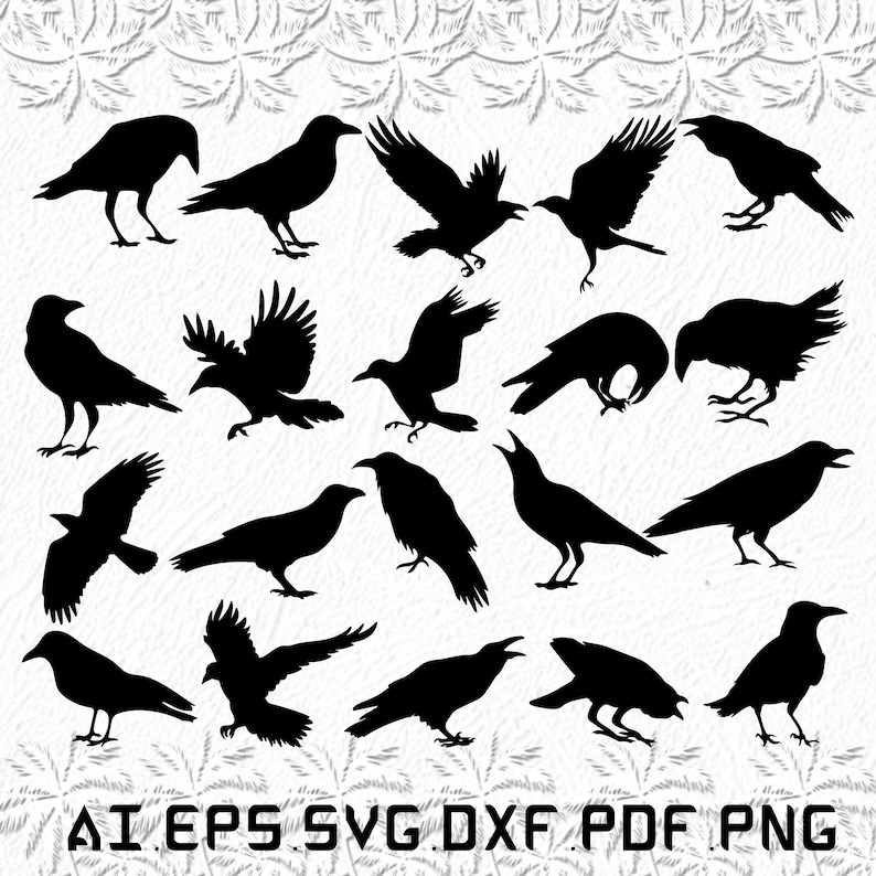 Crow Svg Crows Svg Raven Svg Bird Black SVG Ai Pdf - Etsy