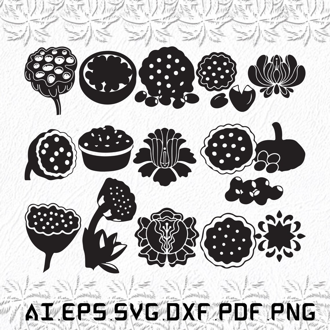 Lotus Seed Svg Lotus Seeds Svg Flower Svg Lotus Seed SVG - Etsy