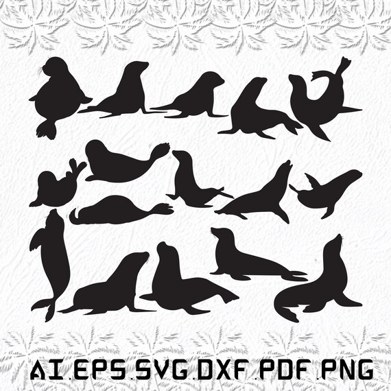 Seal Svg Seals Svg Sea Svg Animal Ocean SVG Ai Pdf - Etsy