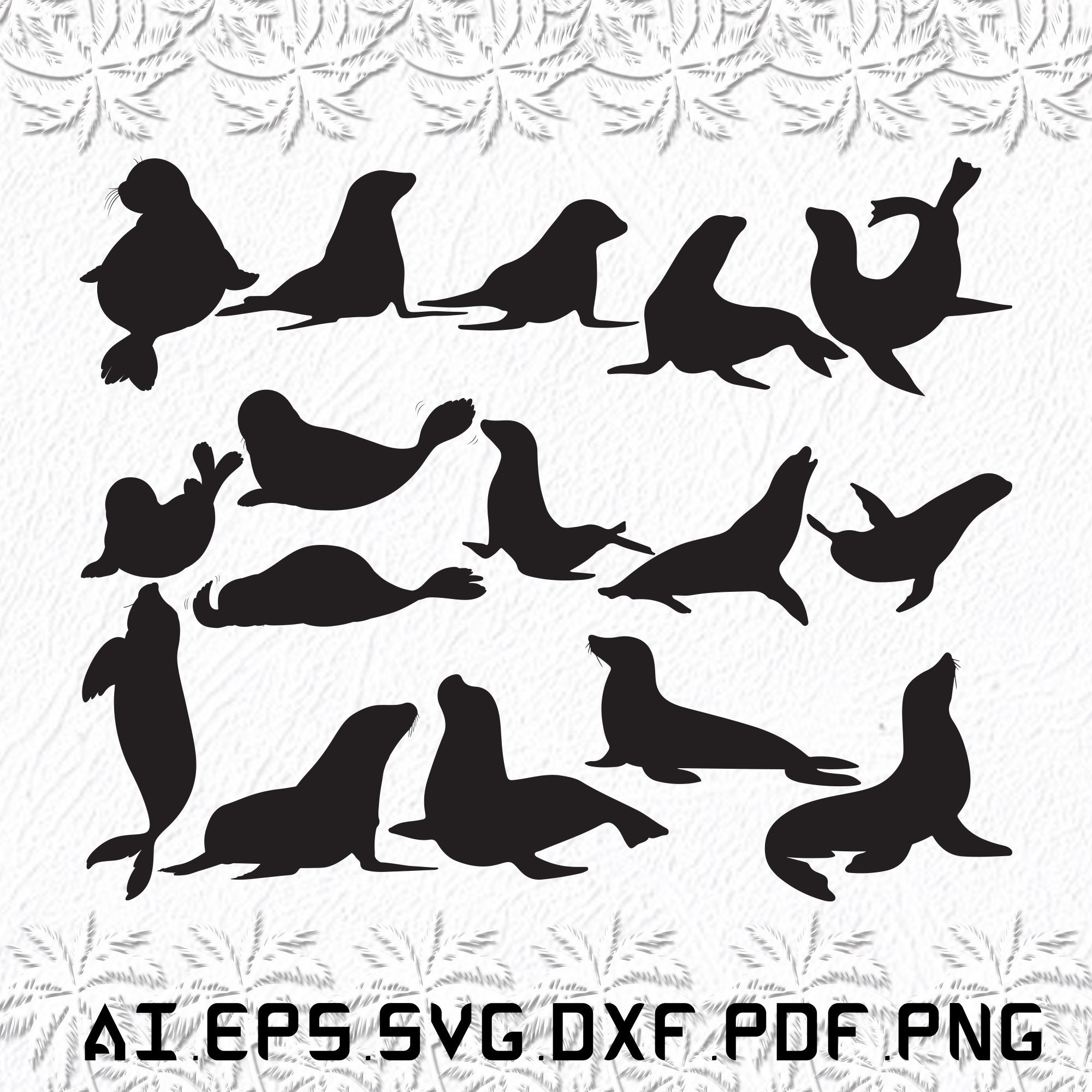 Seal Svg Seals Svg Sea Svg Animal Ocean SVG Ai Pdf - Etsy