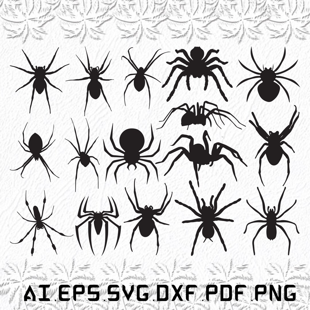Spider Svg, Spiders Svg, Spider Man Svg, Man, Woman, SVG, Ai, Pdf, Eps ...