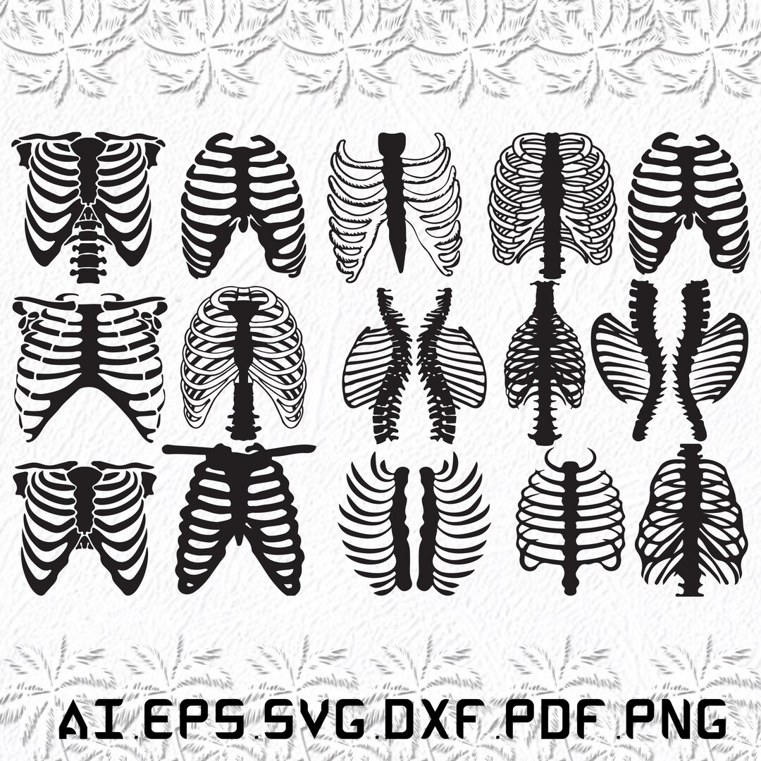 Skeleton Rib Cage Svg, Skeleton Rib Svg, Skeleton Cage Svg, Rib Cage ...