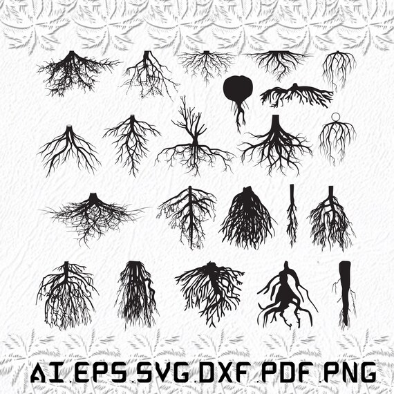 Root Svg Roots Svg Tree Roots Svg Tree Tree Lover SVG - Etsy Canada