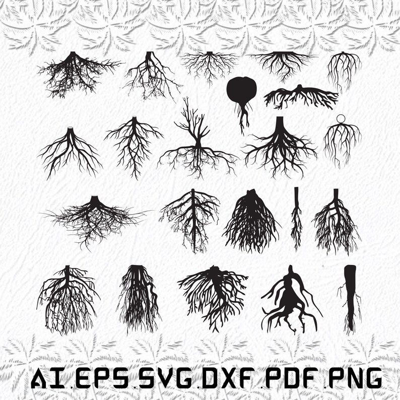 Root Svg, Roots Svg, Tree Roots Svg, Tree, Tree Lover, SVG, Ai, Pdf ...