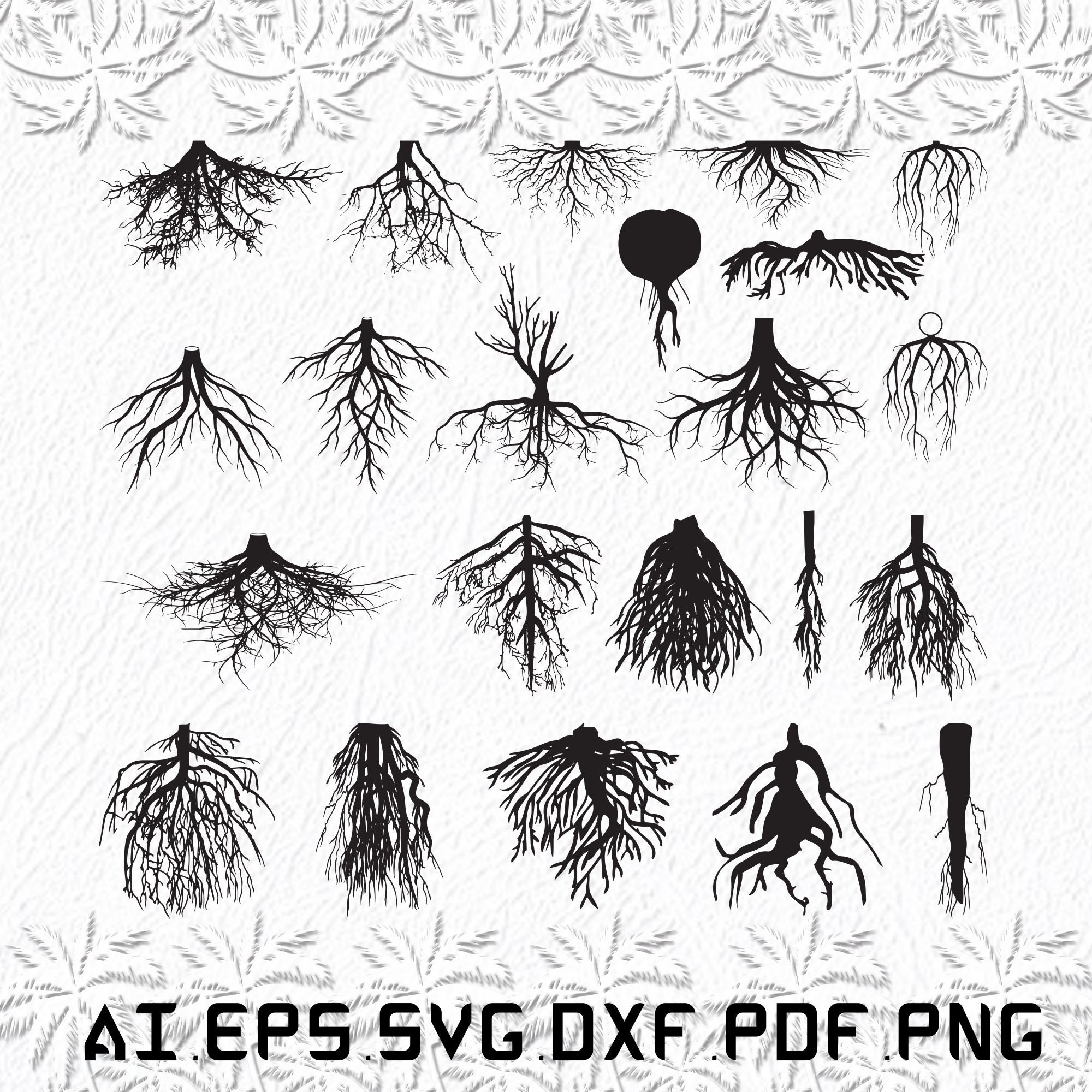 Root Svg, Roots Svg, Tree Roots Svg, Tree, Tree Lover, SVG, Ai, Pdf ...