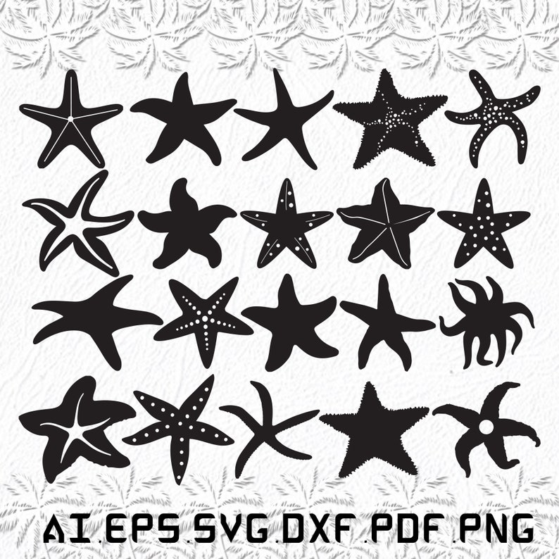Starfish Svg Star Svg Sea Svg Ocean Fish SVG Ai Pdf | Etsy