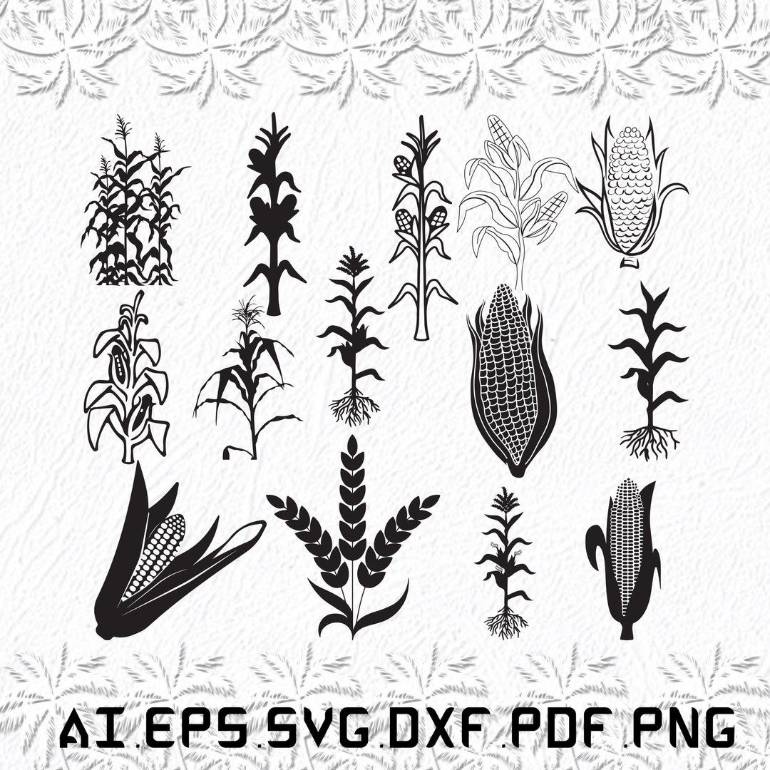 Corn Stalk Svg, Corn Stalks Svg, Corn Svg, Popcorn, Popcorns, SVG, Ai ...
