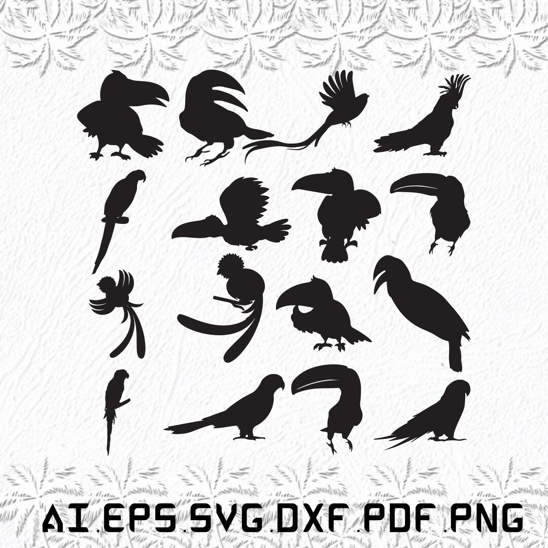 Quetzal Bird Svg, Quetzal Birds Svg, Love Svg, Bird, Quetzal, SVG, Ai ...
