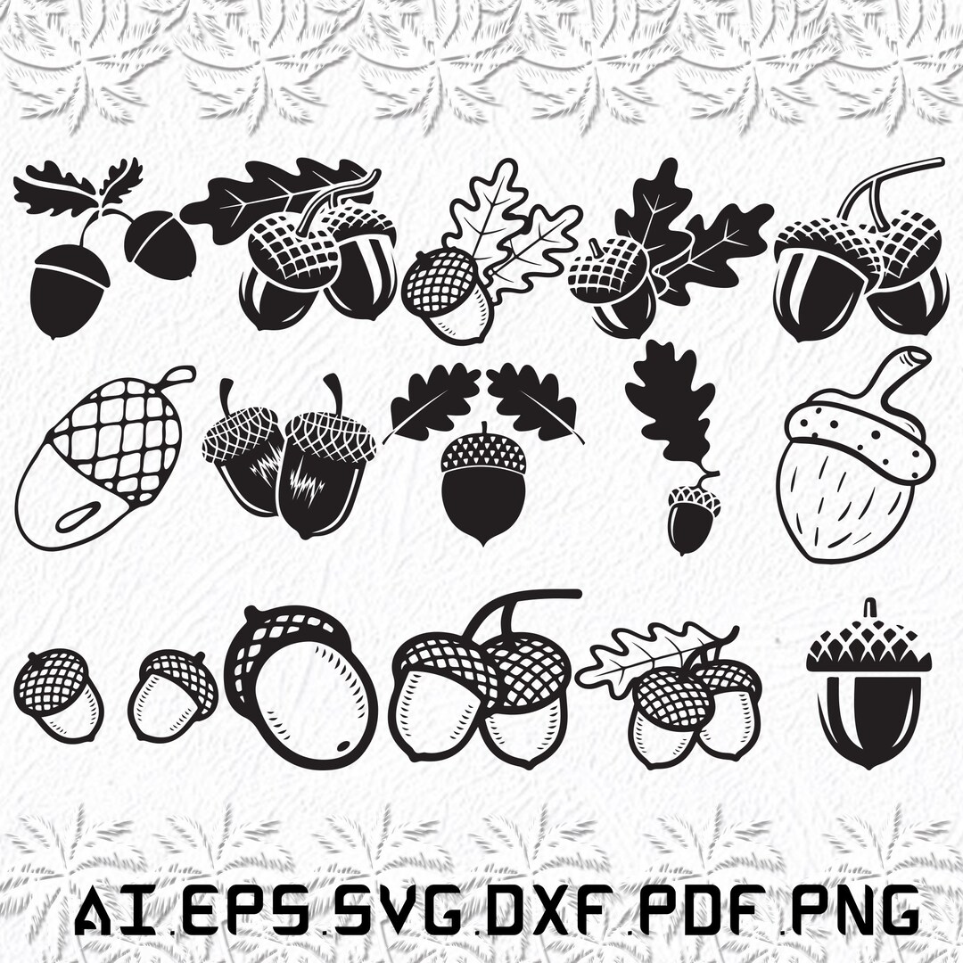 Acorn Svg, Acorns Svg, Fruit Svg, Tree, Fruits, SVG, Ai, Pdf, Eps, Svg ...