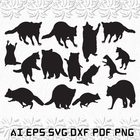Mapache svg Mapaches svg animales svg animal pájaro SVG - Etsy México