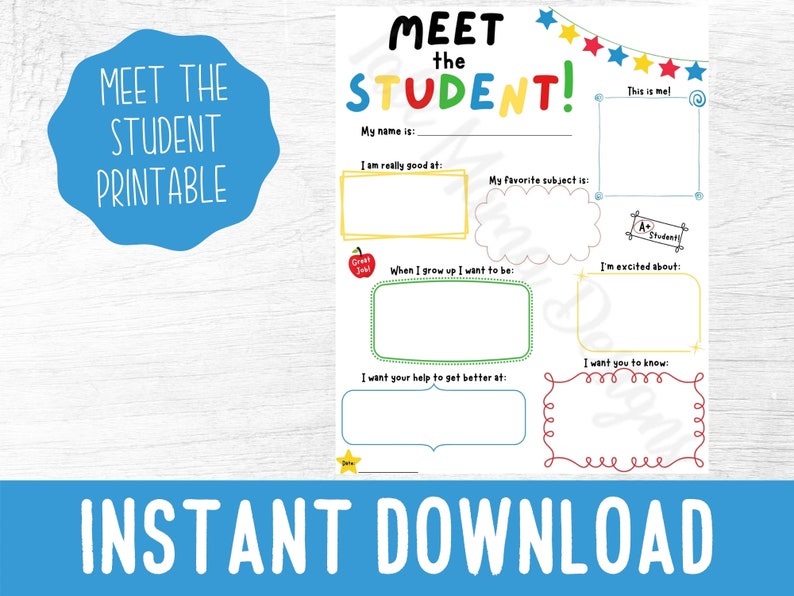 Meet the Student Printable, First Day of Class Activity, Classroom ...