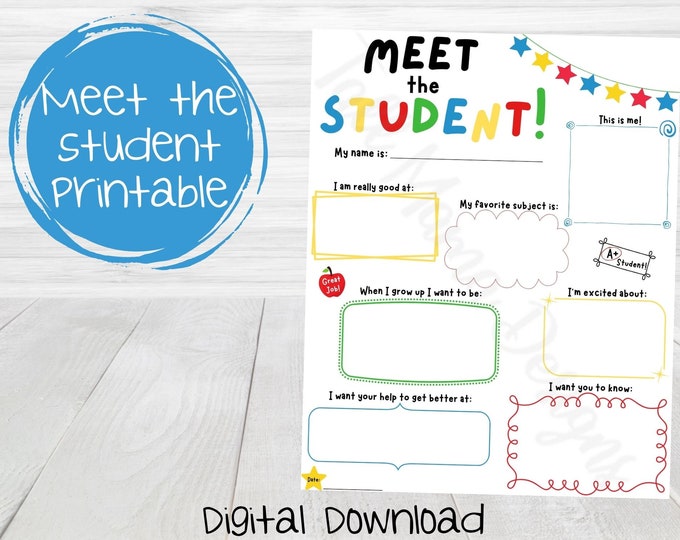 Meet the Student Printable First Day of Class Activity - Etsy