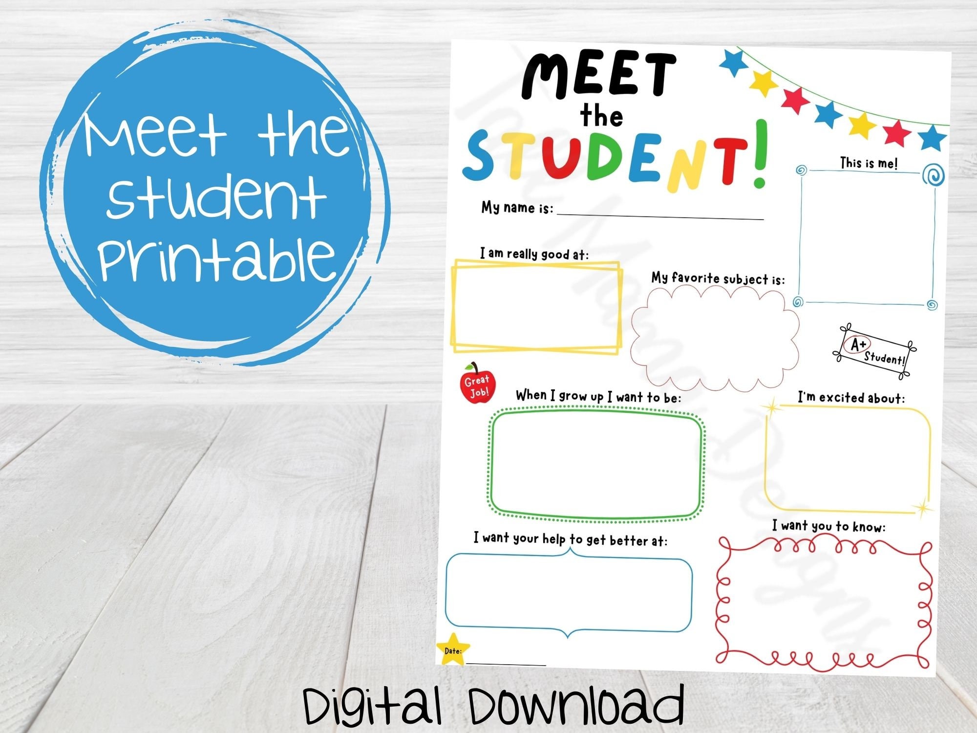 Meet the Student Printable, First Day of Class Activity, Classroom ...