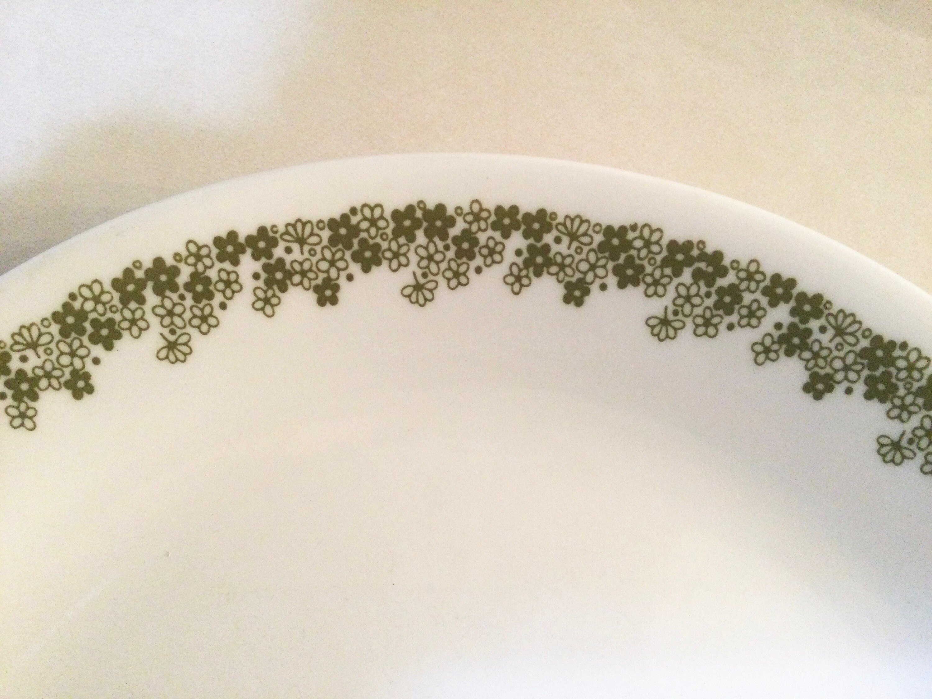 Corelle by Corning 10 Pc CRAZY DAISY Spring Blossom Green Dinnerware ...