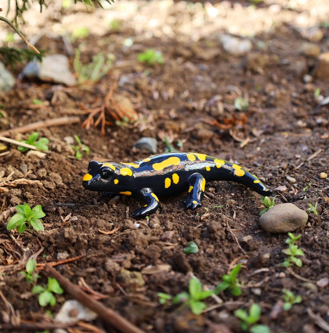 Fire Salamander, Little Amphibian Figures and Charms, Handmade Polymer ...