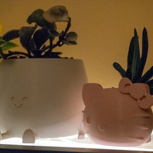 Sanrio Hello Kitty Planter Pot | 3D Printed - Etsy