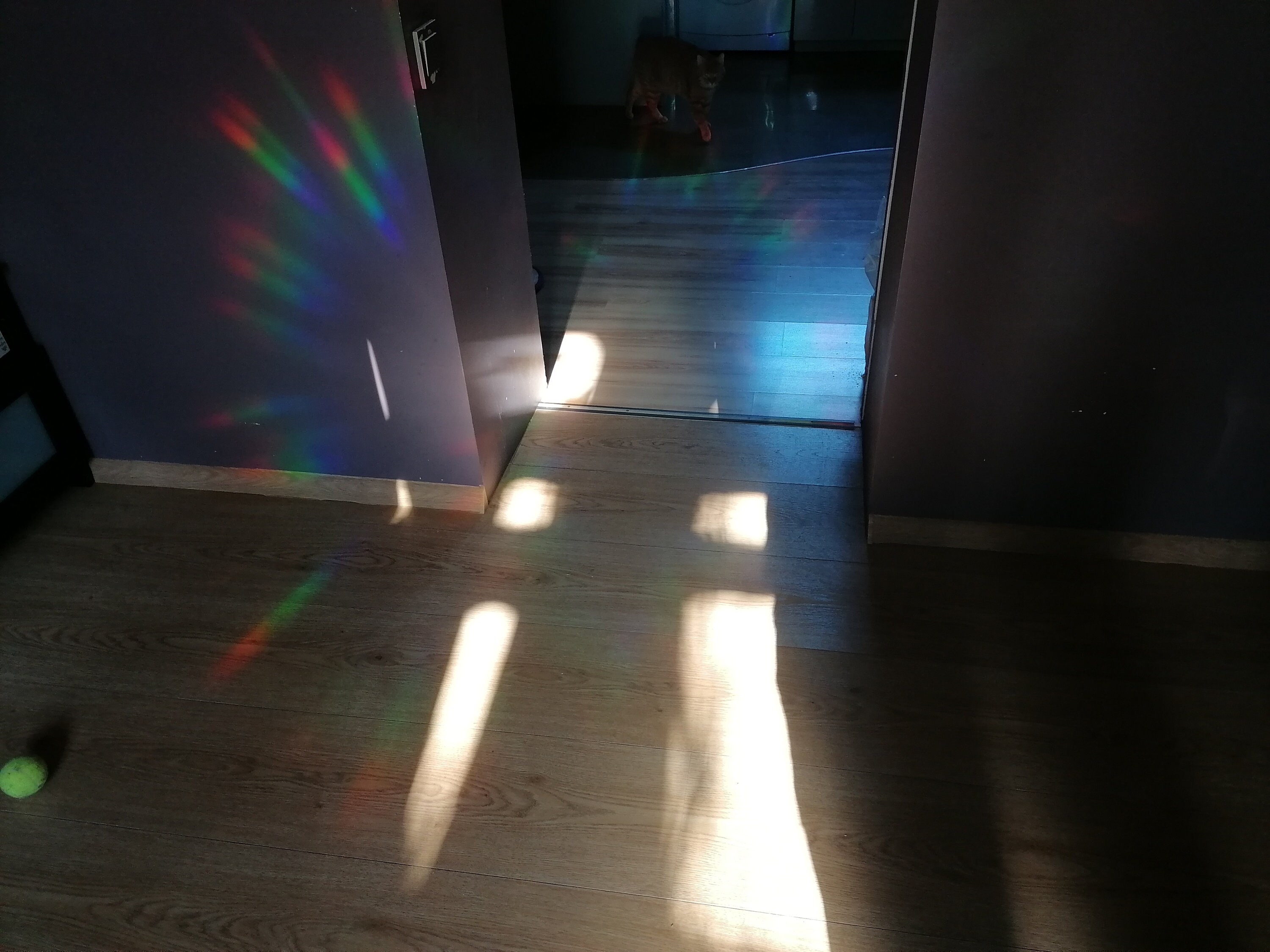 Set of 9 Round Suncatchers Circle Window Cling Rainbow - Etsy