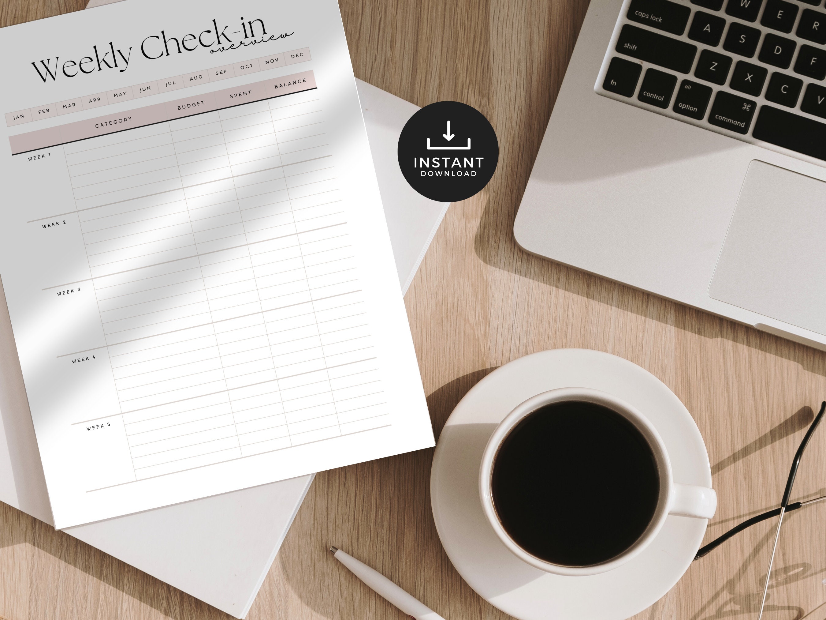 Personal Weekly Budget Template, Budget Check-in per Week Printable, Bi ...