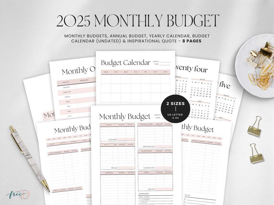 2025 Monthly Budget Printable, Financial Tracker Template, Budget ...
