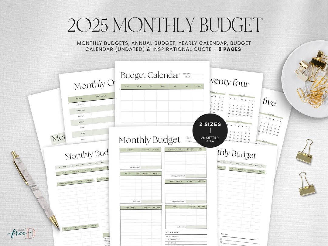 2025 Monthly Budget Printable, Financial Tracker Template, Budget ...
