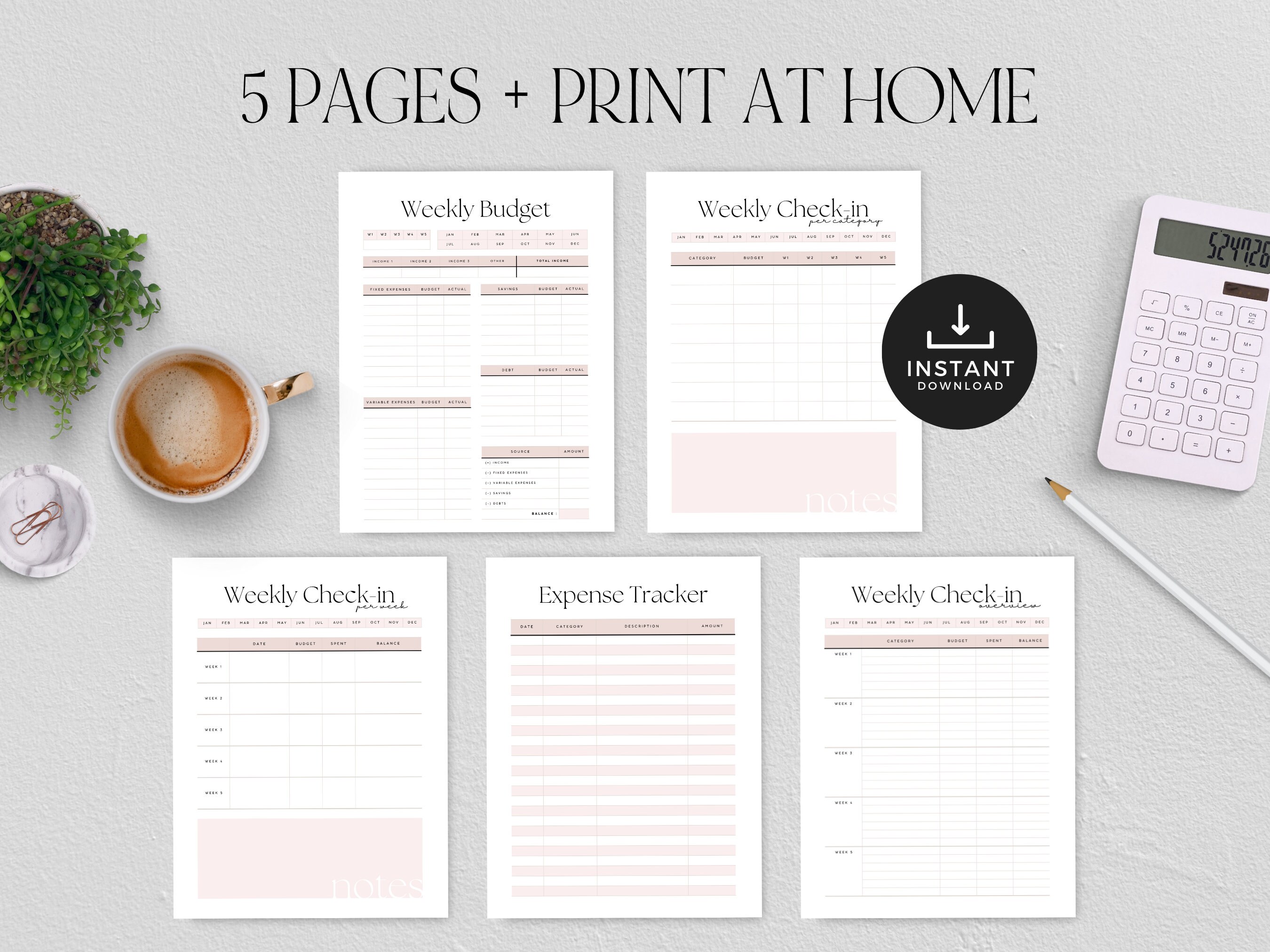 Personal Weekly Budget Template, Budget Check-in per Week Printable, Bi ...
