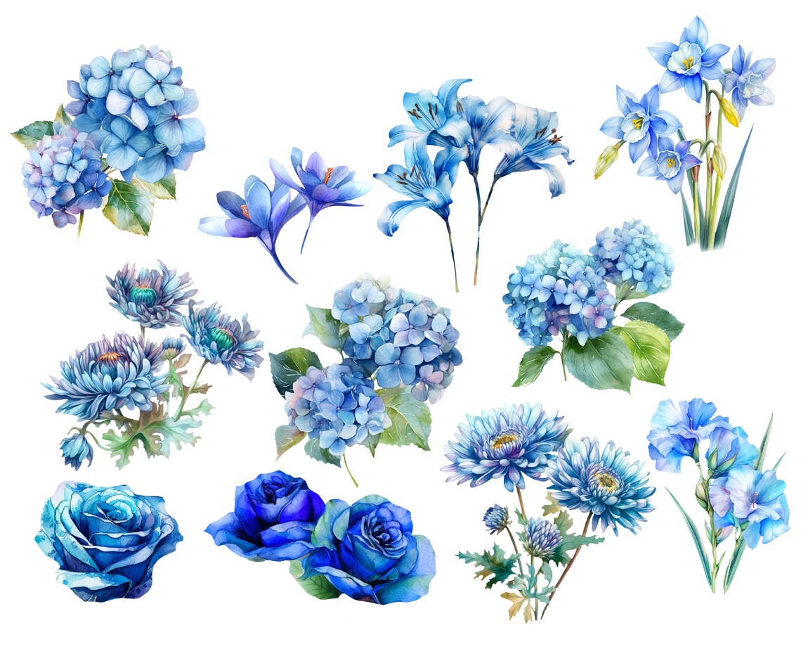 Watercolor Blue Floral Clipart. Blue Flower PNG. Pastel Blue Rose PNG ...