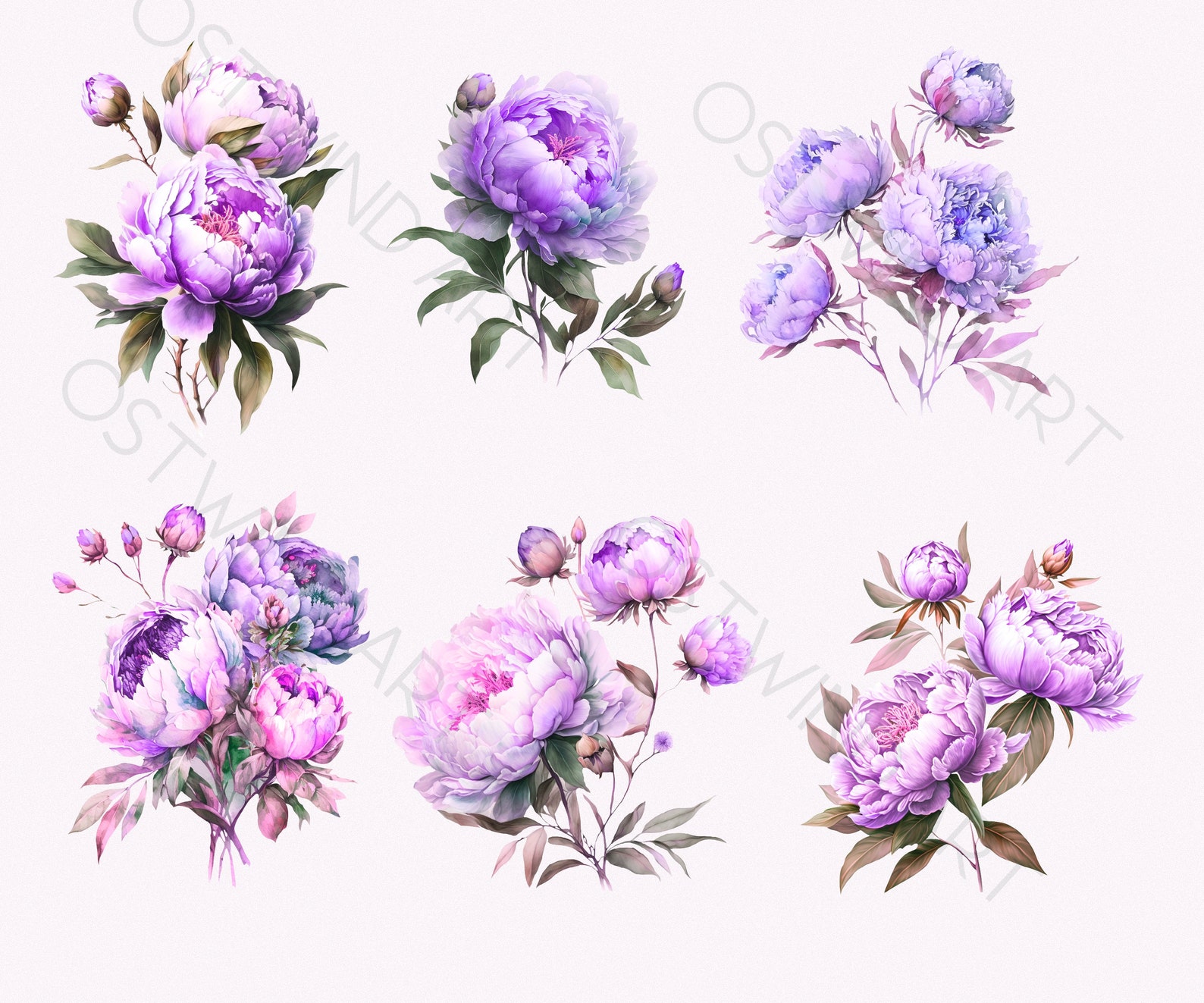 Watercolor Romantic Peonies Clipart. Pink Purple Flowers Peony. Bouquet ...