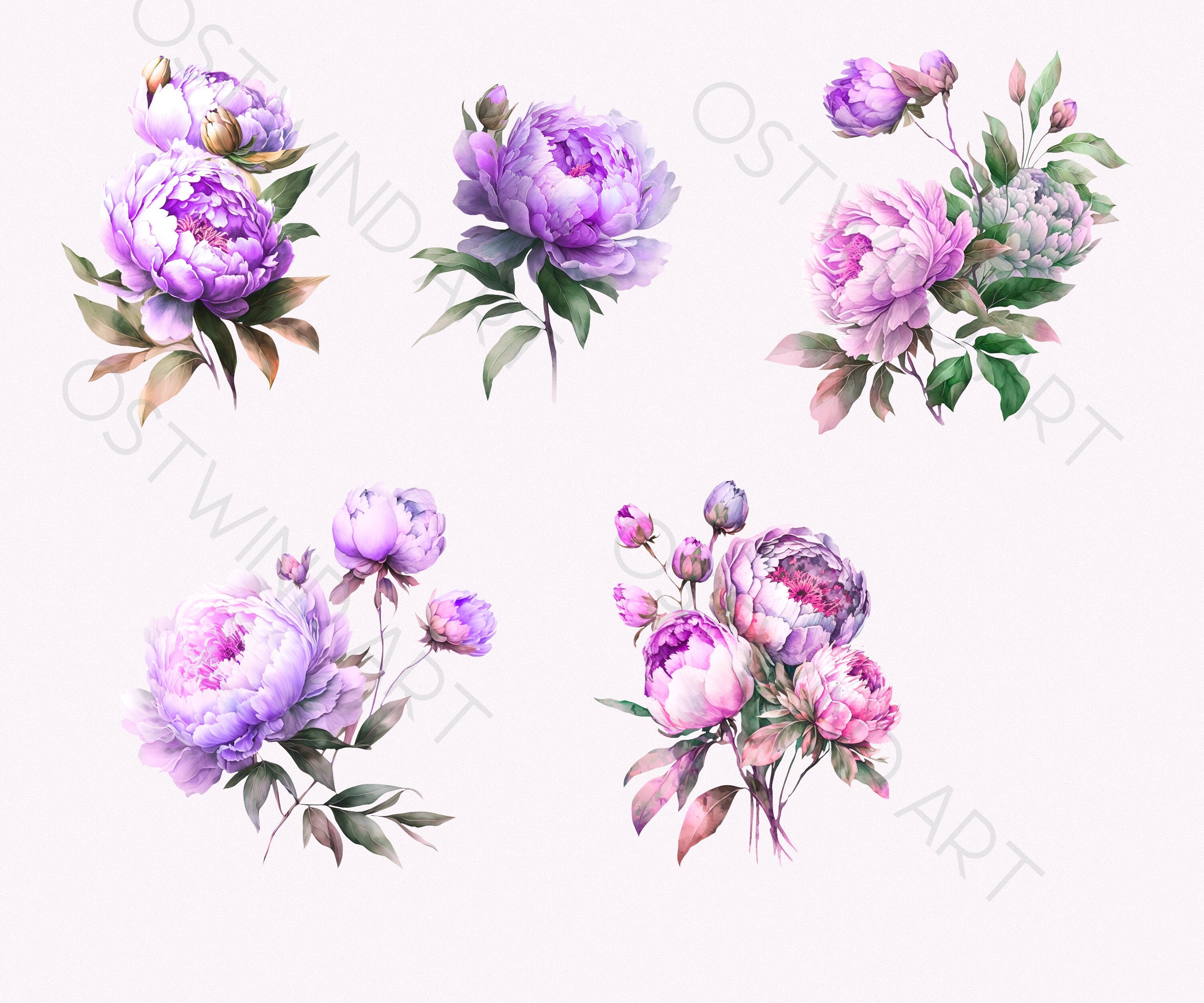 Watercolor Romantic Peonies Clipart. Pink Purple Flowers Peony. Bouquet ...