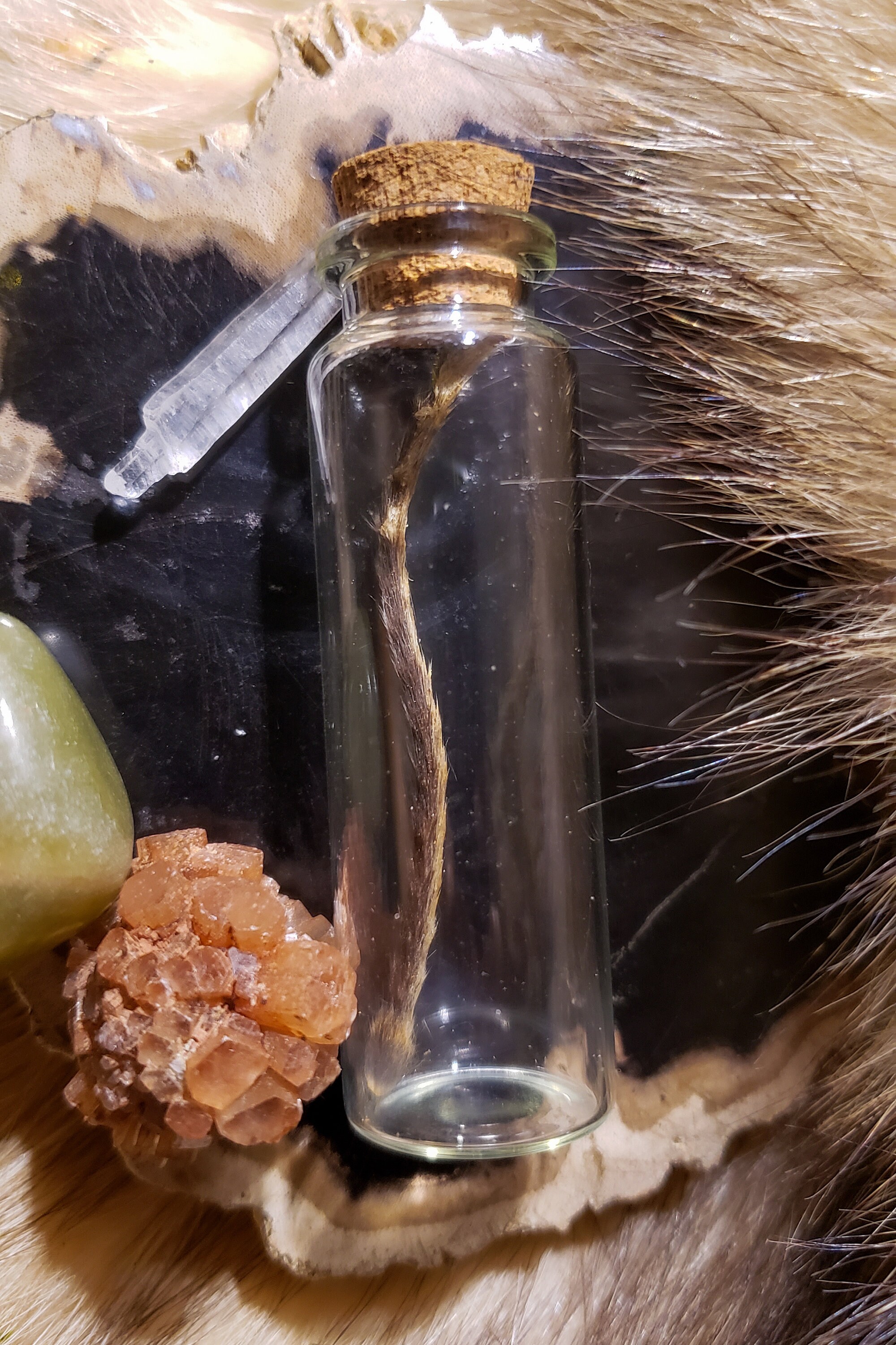 Mummified Mouse Tail - Etsy