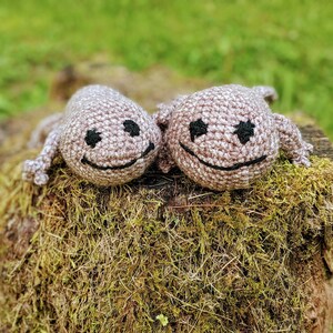 Hellbender Crochet Amigurumi - Etsy