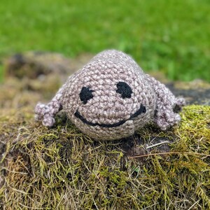 Hellbender Crochet Amigurumi - Etsy