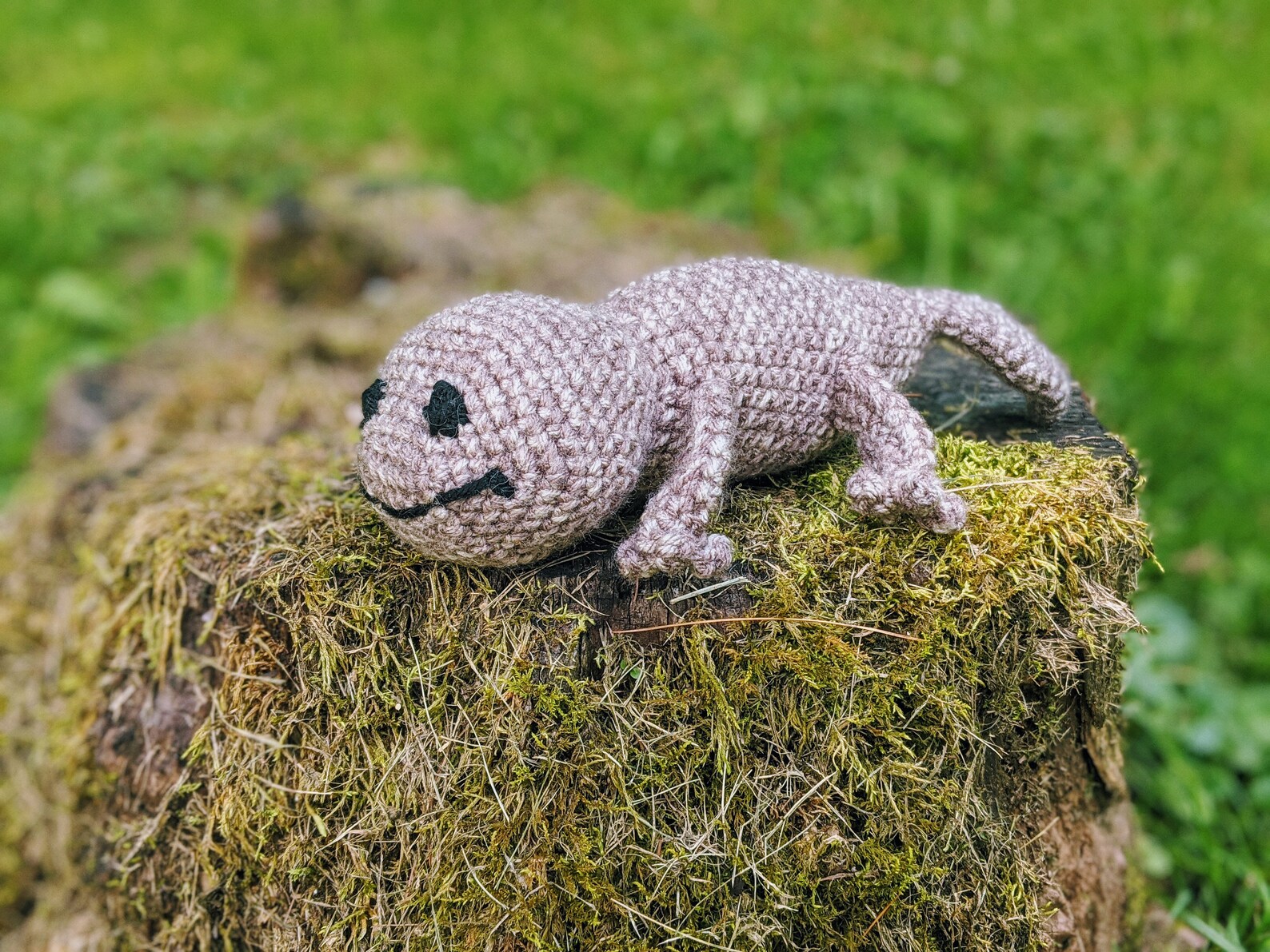 Hellbender Crochet Amigurumi - Etsy