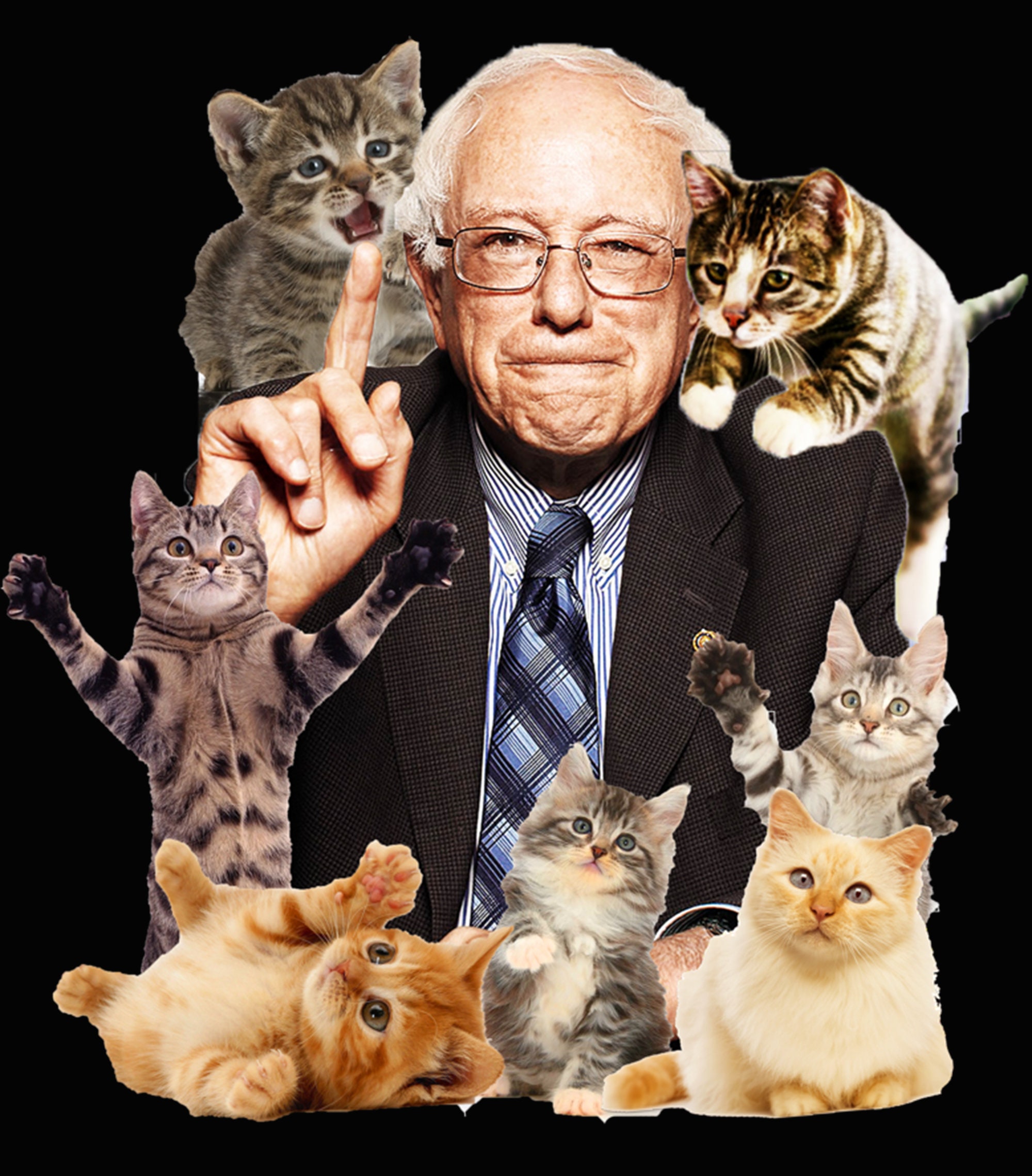 Bernie Sanders Cute Cat Collage Png Funny Cat Art Bernie | Etsy