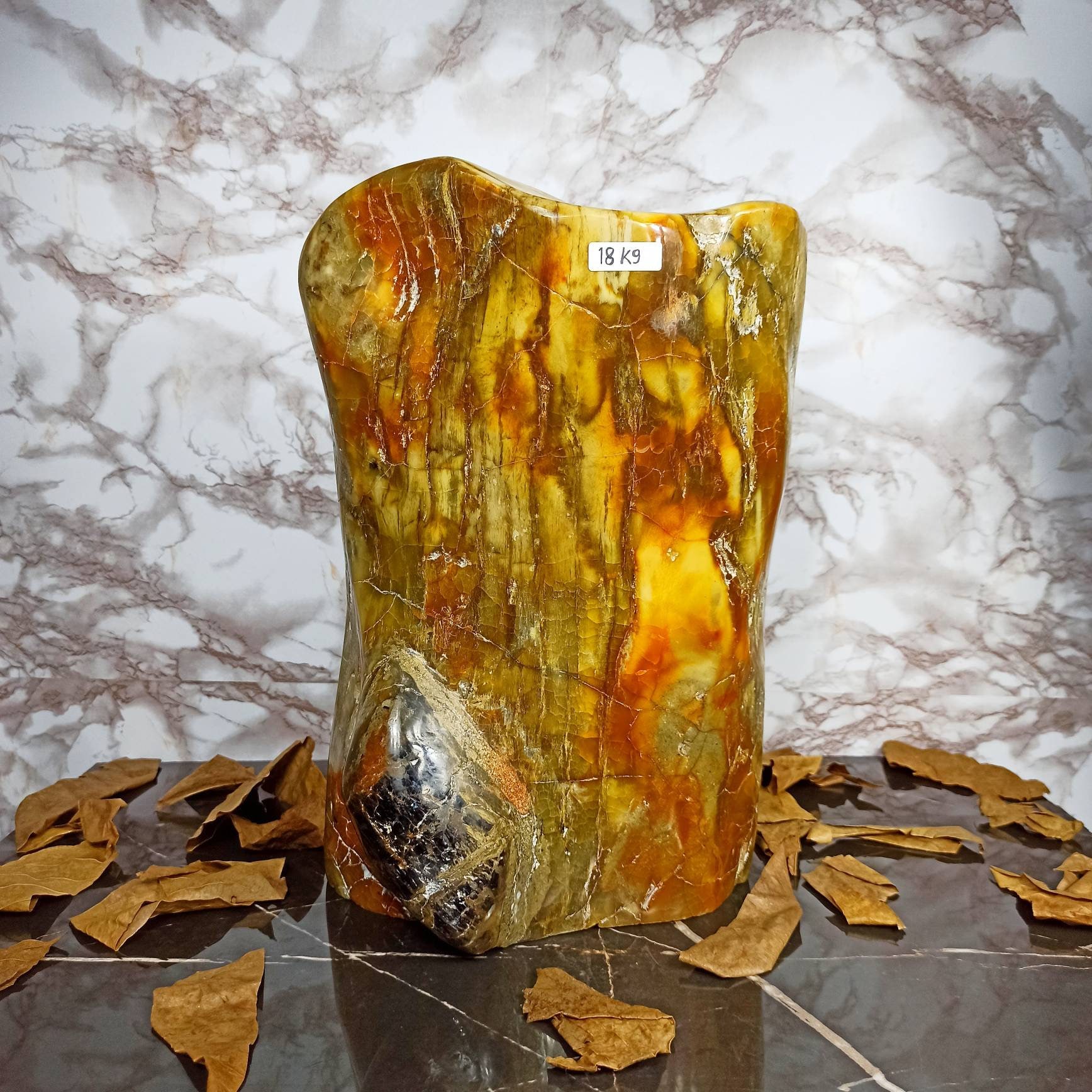 18 Kgs Natural Unique and Super Rare Turquoise Blue Black Opalized ...